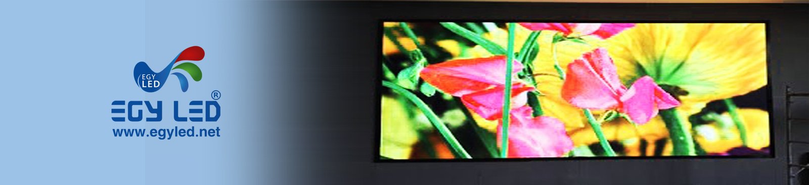 6 Differences between LED, LDP and LCD screen